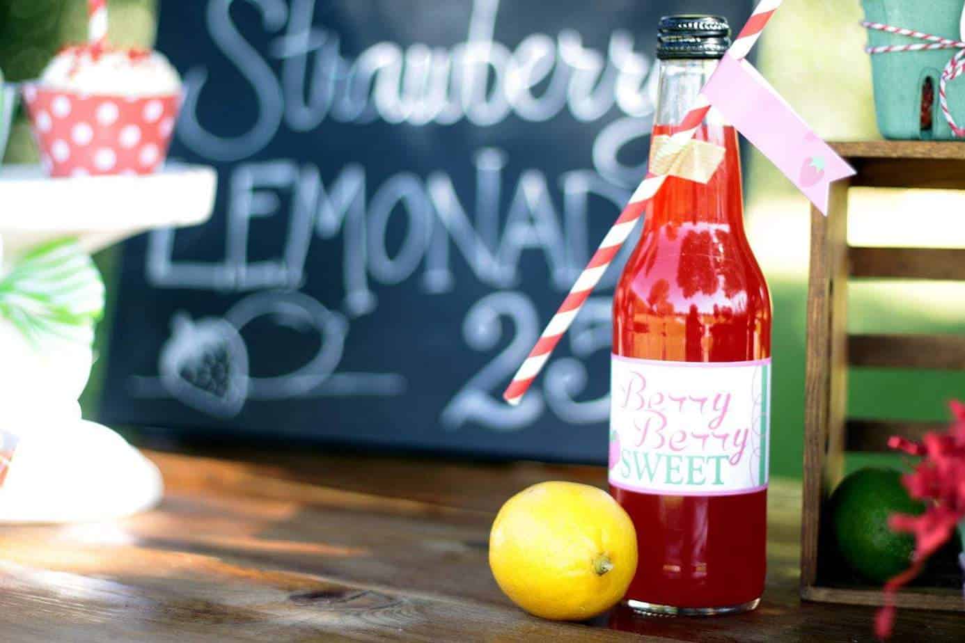 Strawberry Party that is Perfect for Summer - Mimi's Dollhouse
