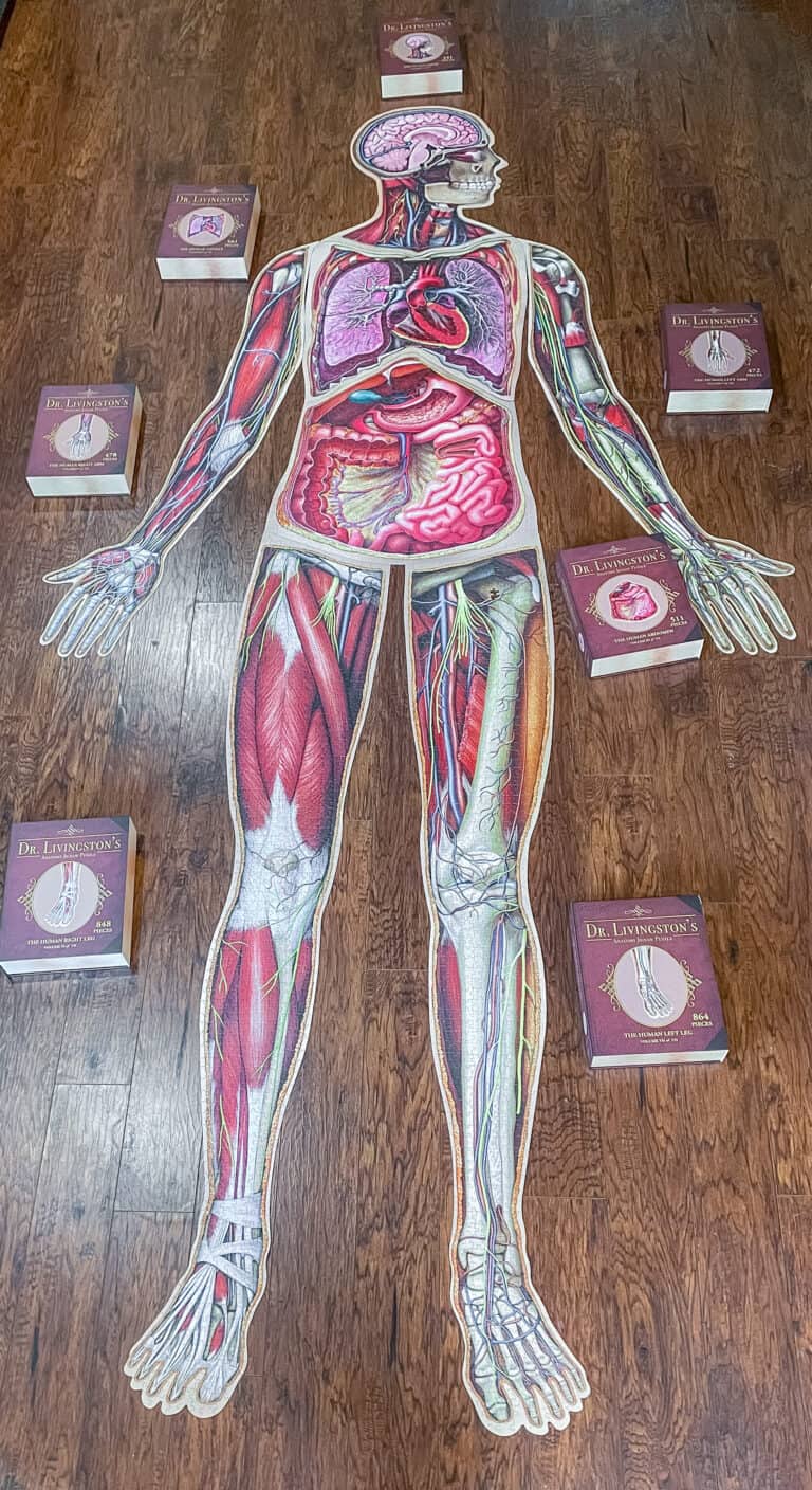 Dr. Livingston's Anatomy Jigsaw Puzzle Review - Mimi's Dollhouse